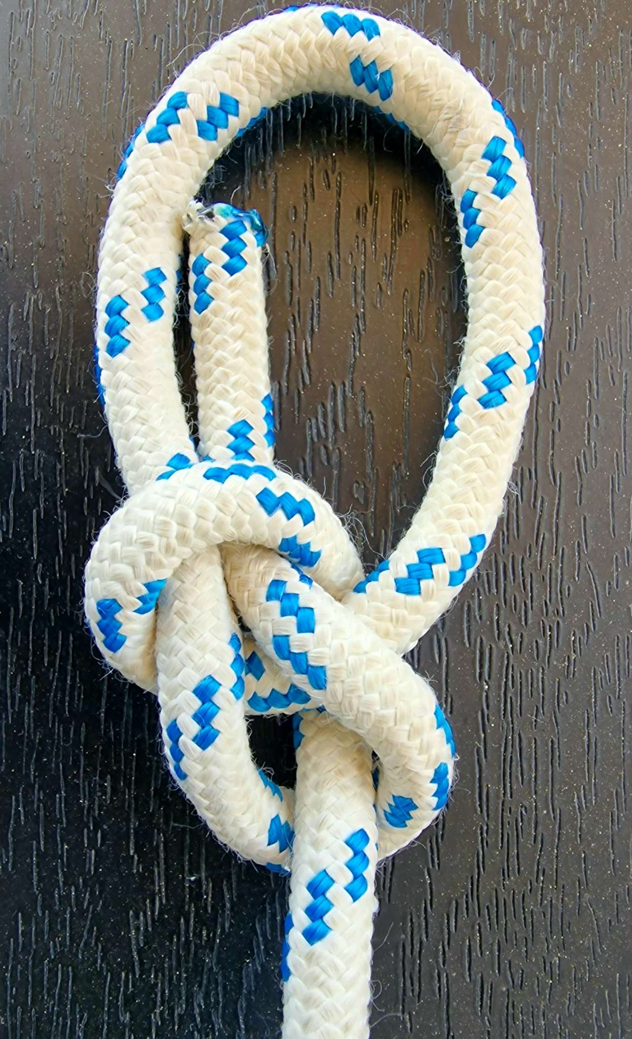 Voll vertüddelt? Kleine Knotenkunde | Sea and More Yachting